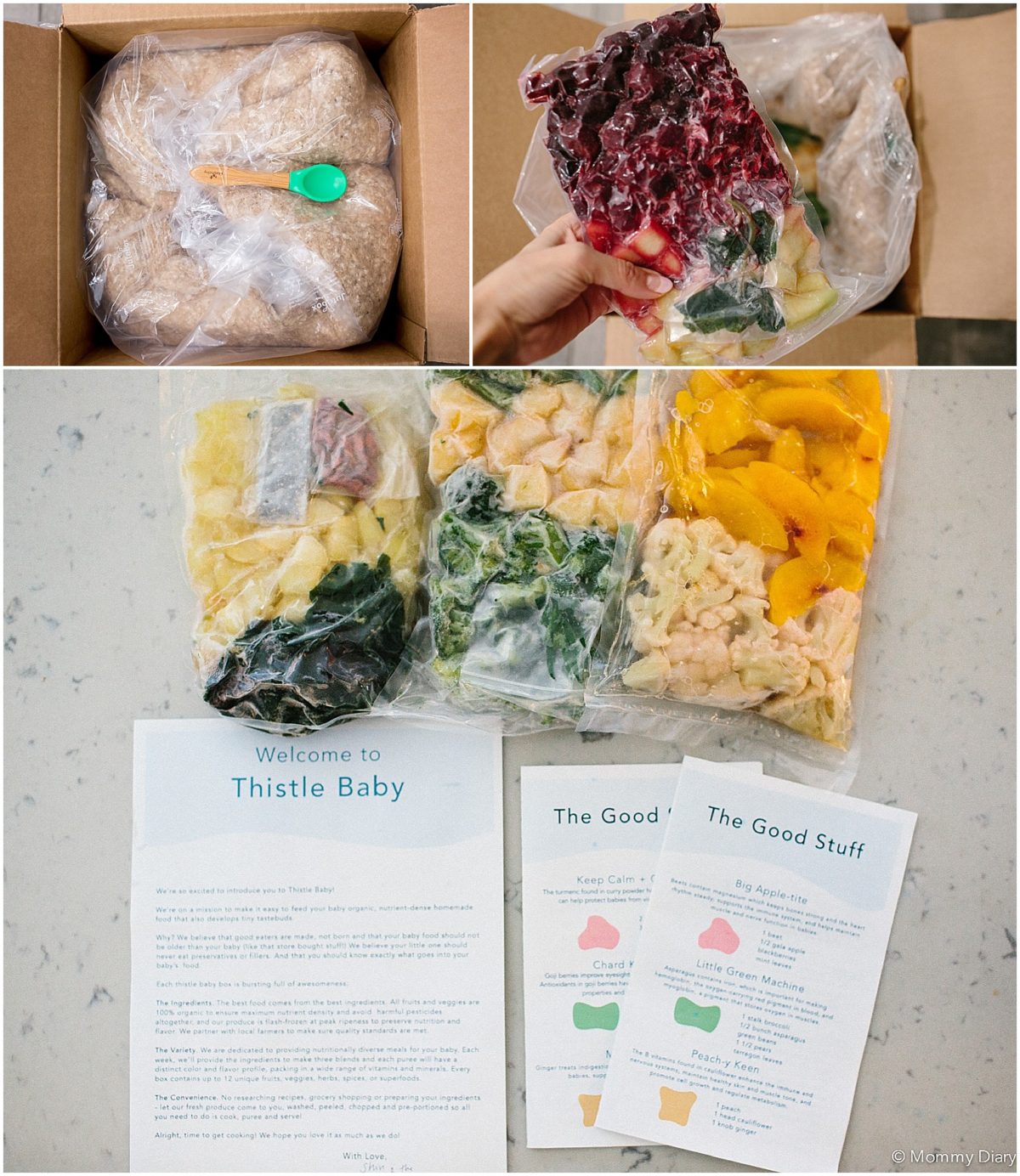 Homemade Baby Food Made Easy: Thistle Baby Review | Mommy Diary