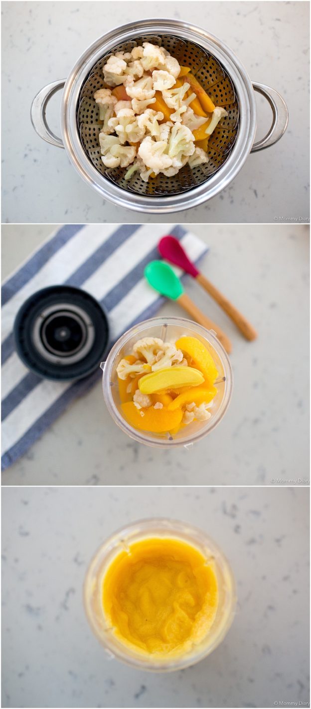 Homemade Baby Food Made Easy: Thistle Baby Review | Mommy Diary