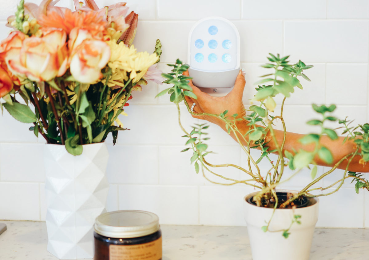 Zevo Insect Spray: Family Friendly Bug Control | Mommy Diary