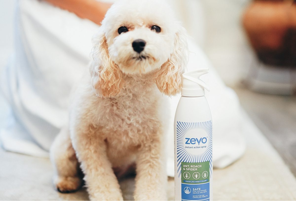 Zevo Insect Spray: Family Friendly Bug Control | Mommy Diary