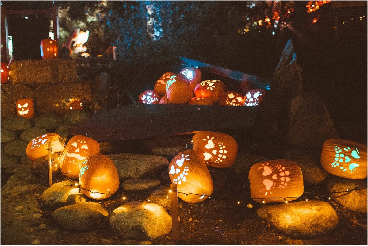 The Most Instagrammable Pumpkin Nights | Mommy Diary